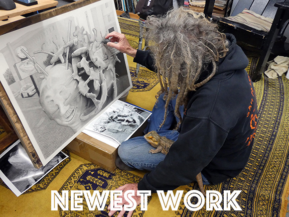 CLICK ON PICS BELOW TO OPEN THE VARIOUS GALLERIES